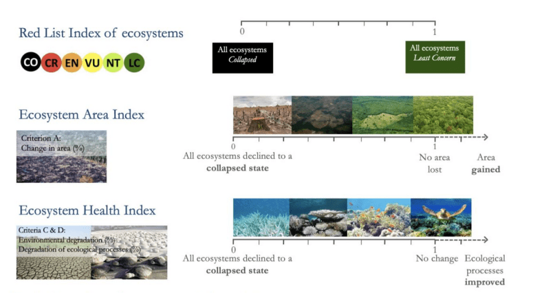 Ecosystem indicators accepted by the CBD Biodiversity Indicator ...
